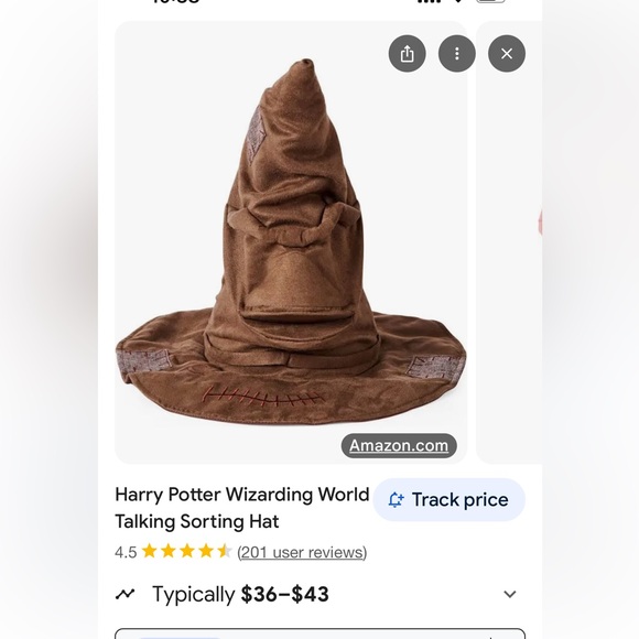 No Brand | Accessories | Harry Potter Wizarding World Talking Sorting ...